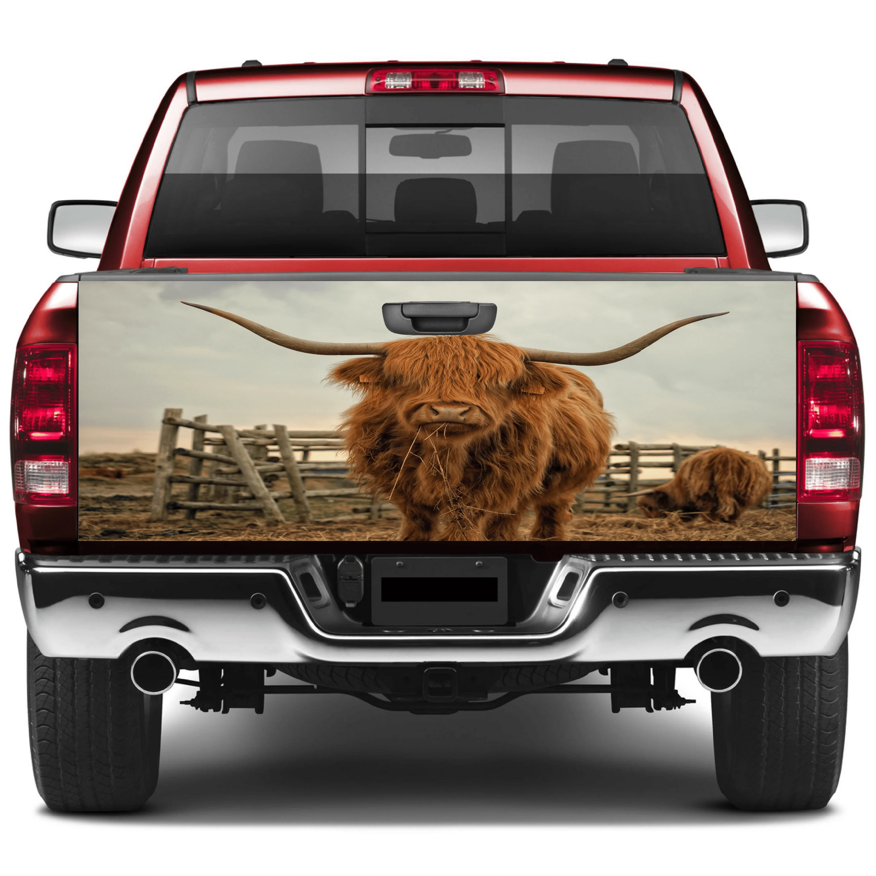 Tailgate Wraps For Trucks Wrap Vinyl Car Decals Highland Cow SUV Car S ...