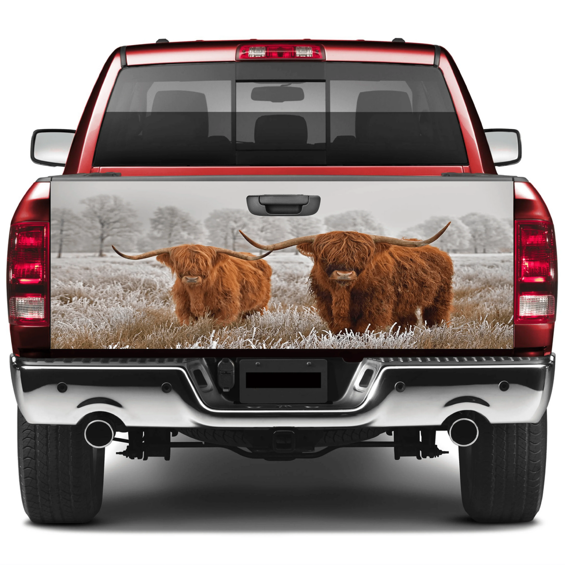Tailgate Wraps For Trucks Wrap Vinyl Car Decals Highland Cow SUV Car S ...